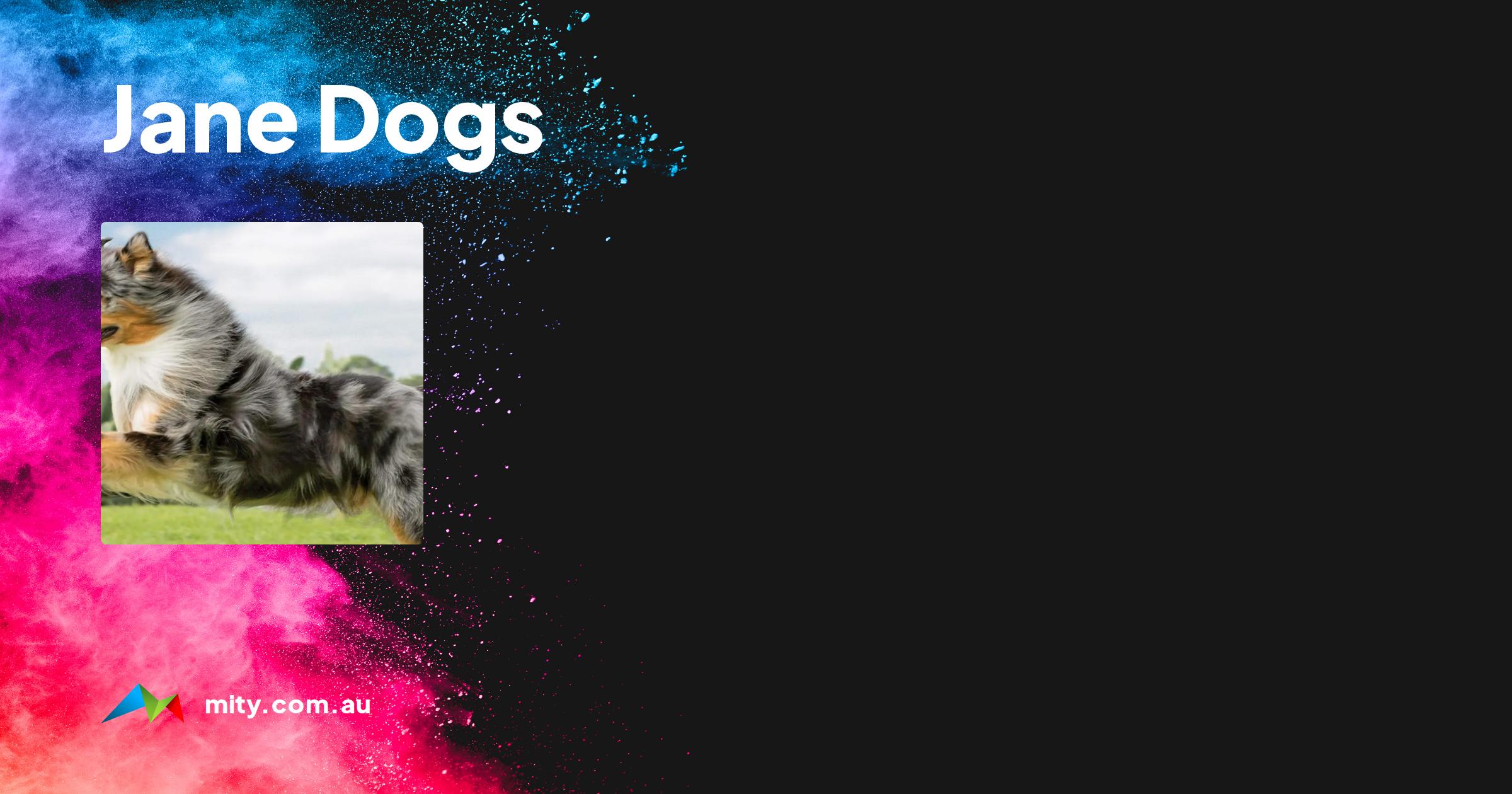 Jane Dogs | Mity Digital